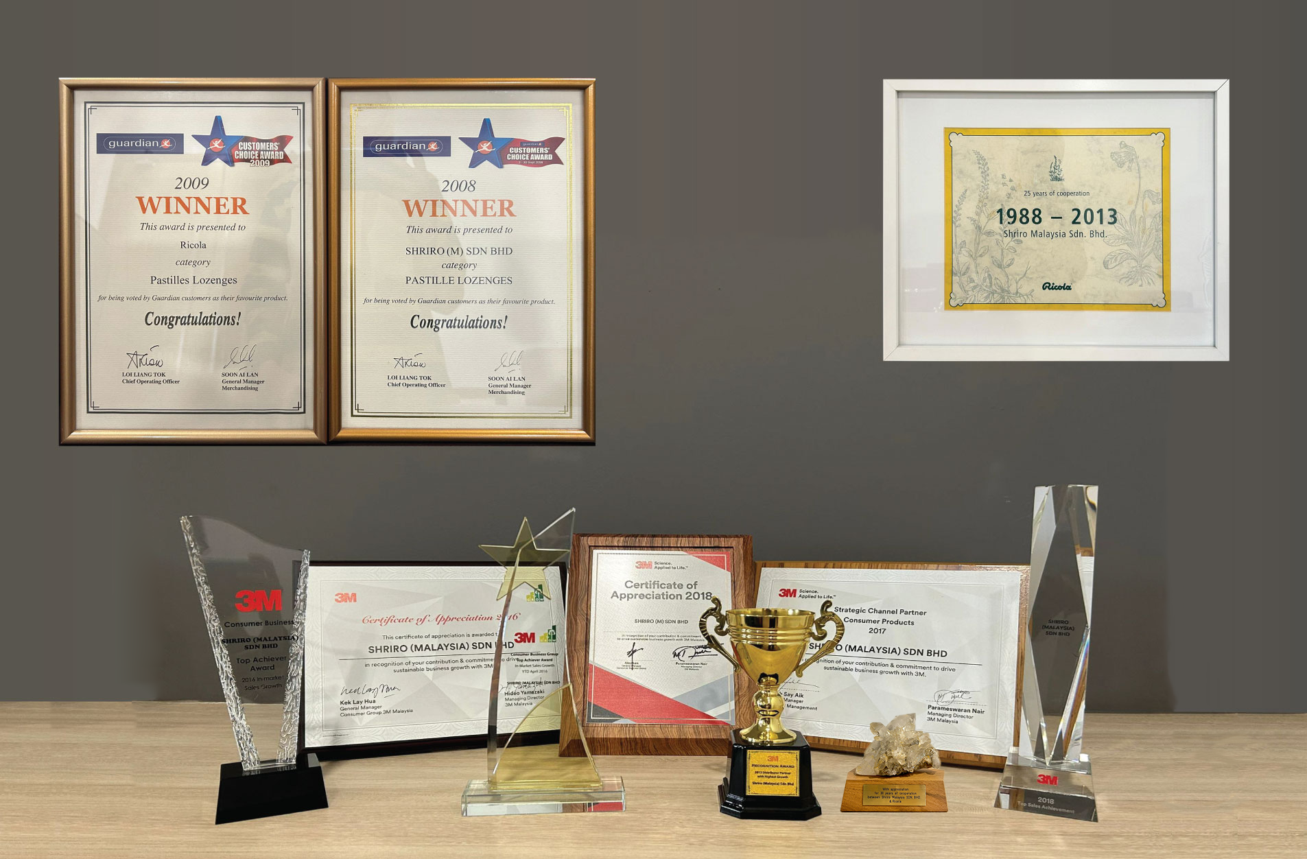 About Us - Shriyo Malaysia